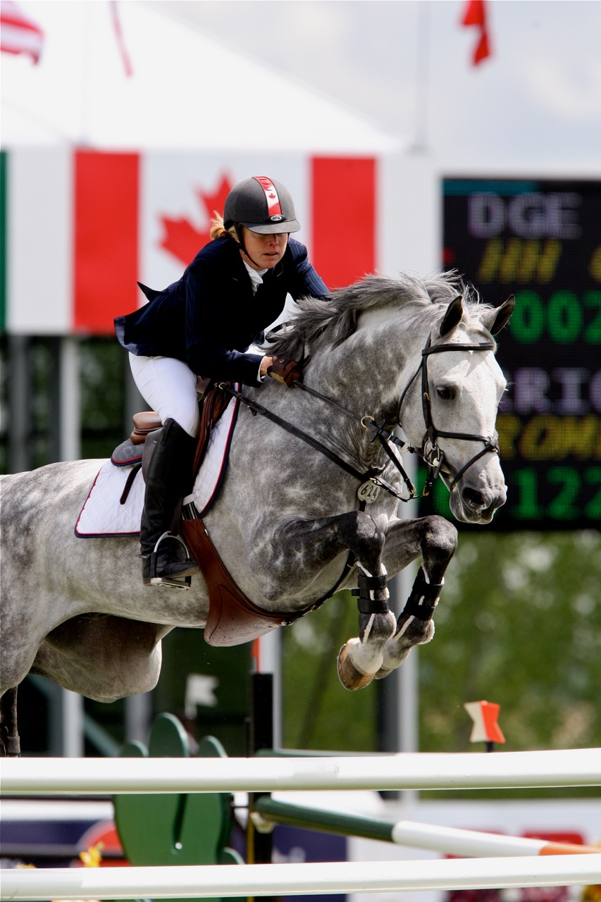 Gallery – Equitop Farm